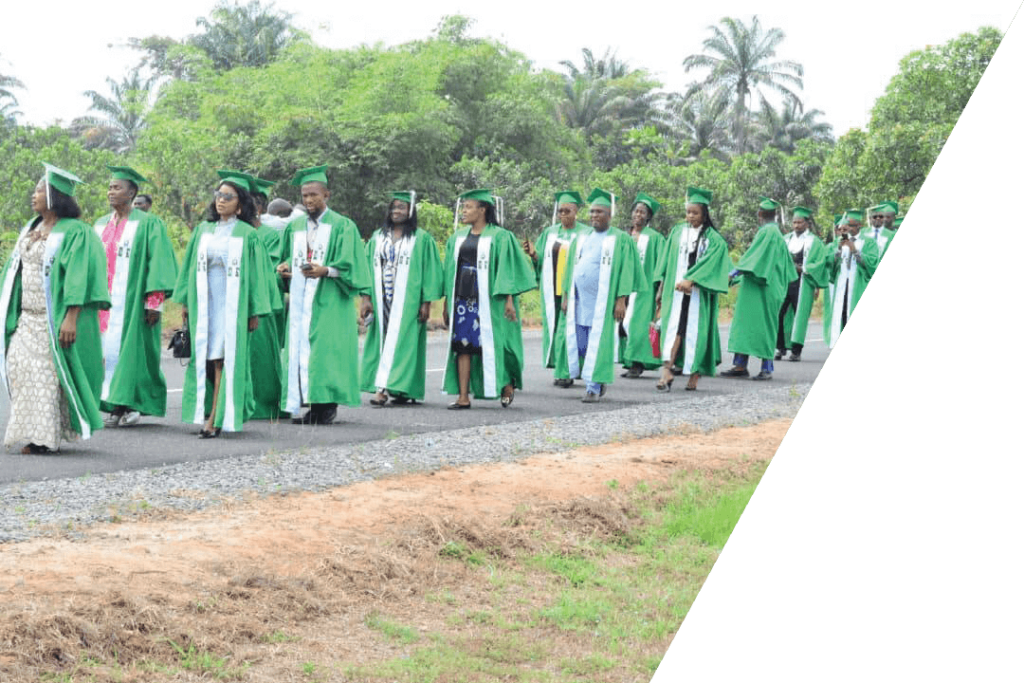 NINLAN – National Institute for Nigerian Languages